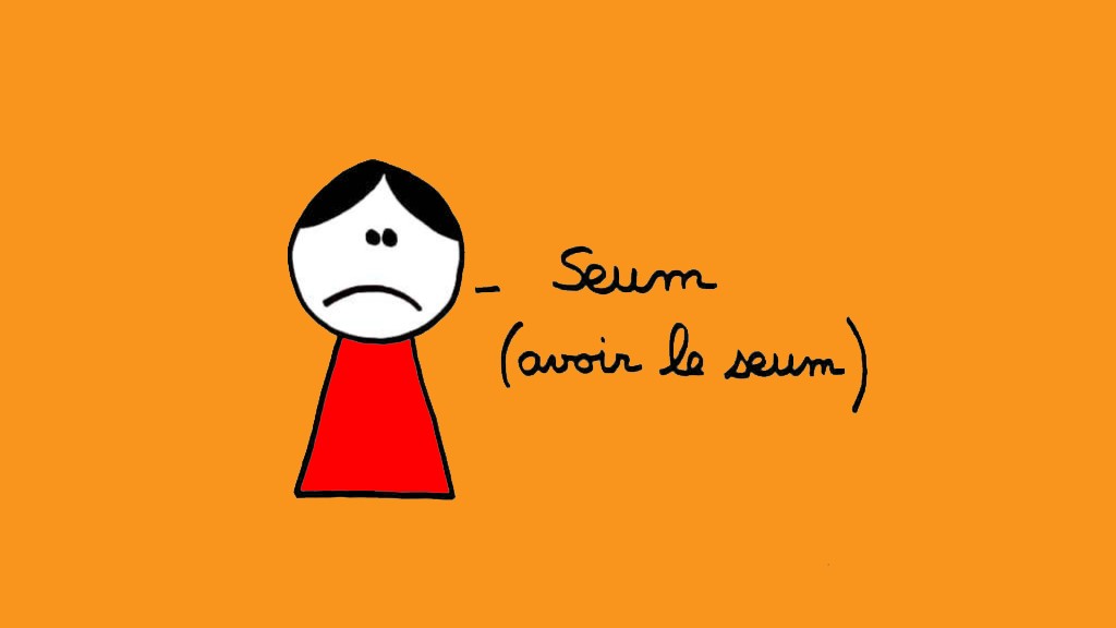 Las nuevas palabras en francés. Hoy: seum (avoir le) - Ludovic ...